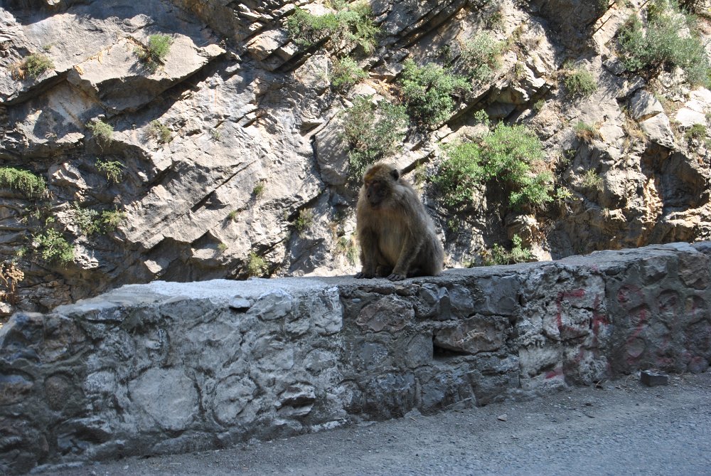De Sétif à Béjaïa par les gorges de Kherrata