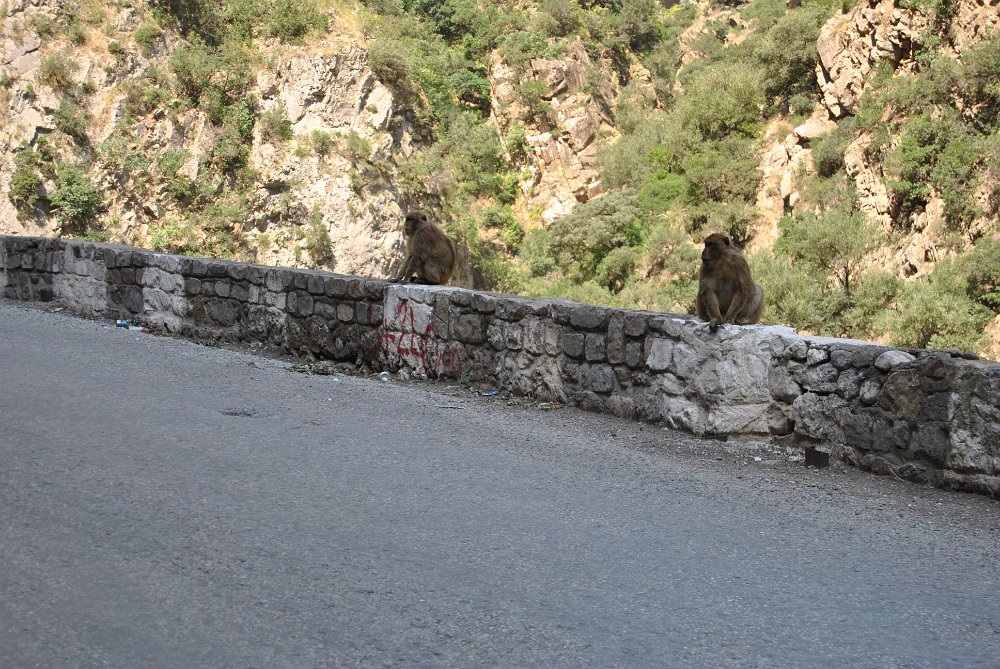 De Sétif à Béjaïa par les gorges de Kherrata